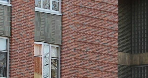 Ohio State introduces first undergraduate forensic anthropology major ...